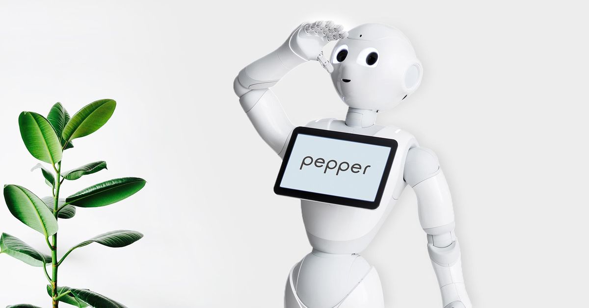 Pepper Roboter | Kauf & Entwicklung | PROBO Robotics